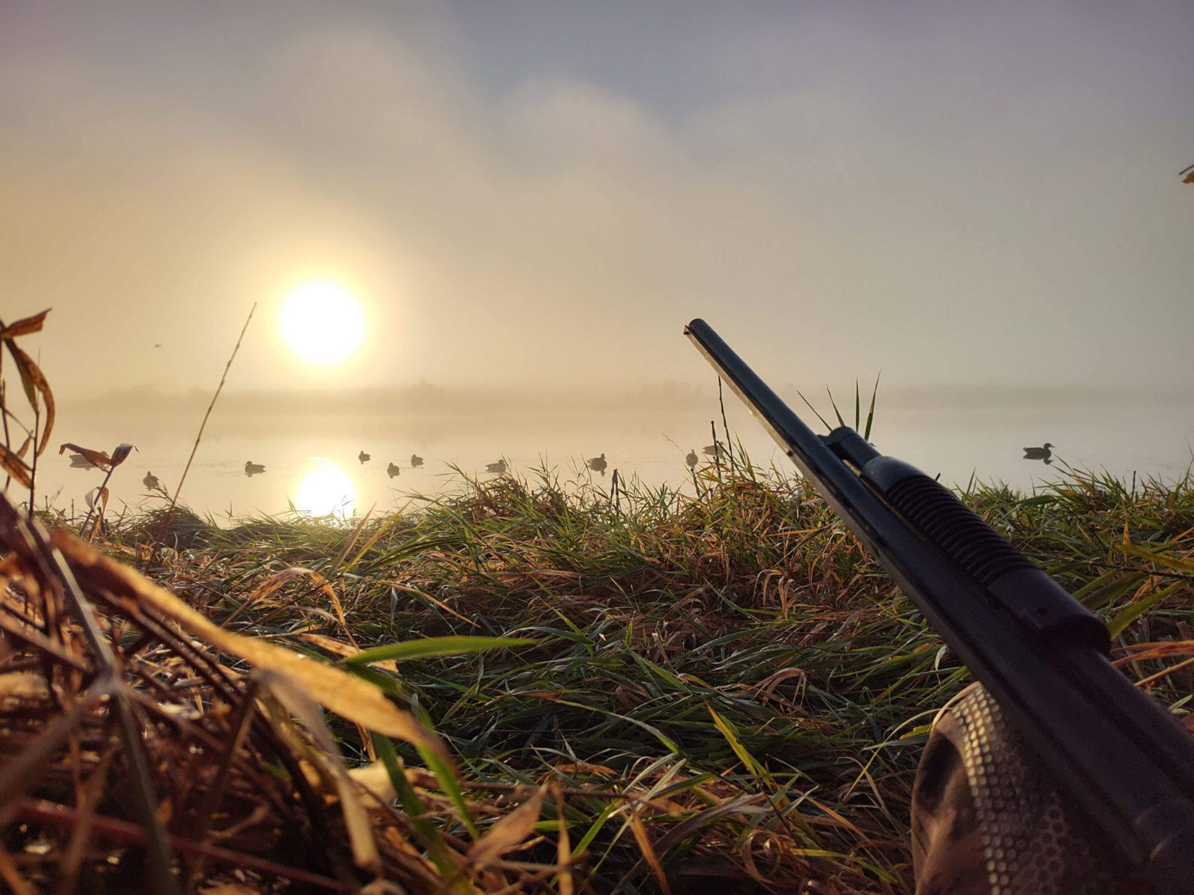 Tier II Waterfowl Hunting | Human Dimensions of Natural Resources ...